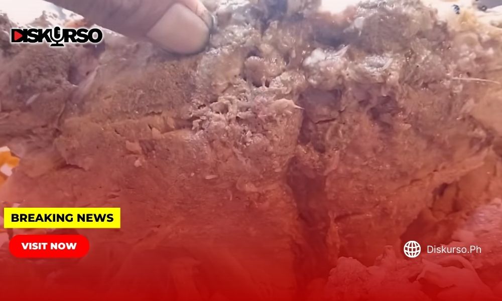 Trigger Warning: Maggots found in lechon at Davao restaurant spark food ...