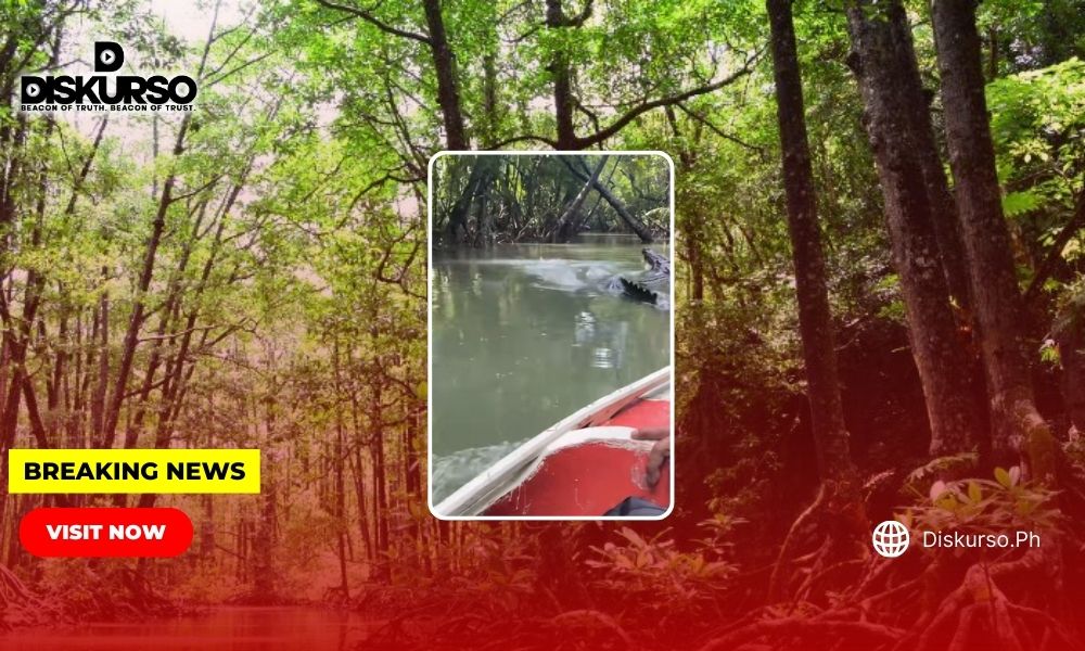 Mga guro, nakasalubong ang 2 malaking buwaya sa isang ilog sa Palawan ...