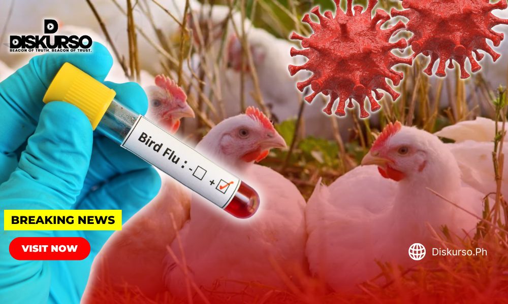 Bagong Strain ng Bird Flu (H5N9) sa Pilipinas: Paano ito nakakaapekto ...