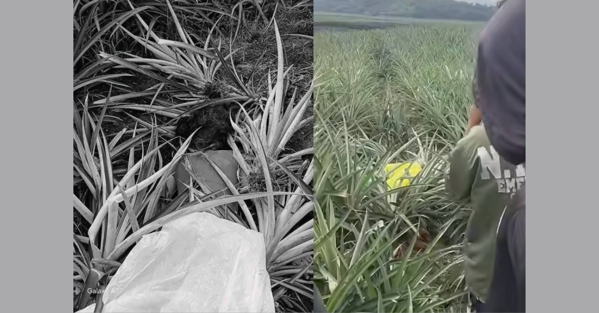 Missing 15-year-old found dead in South Cotabato plantation — Why ...
