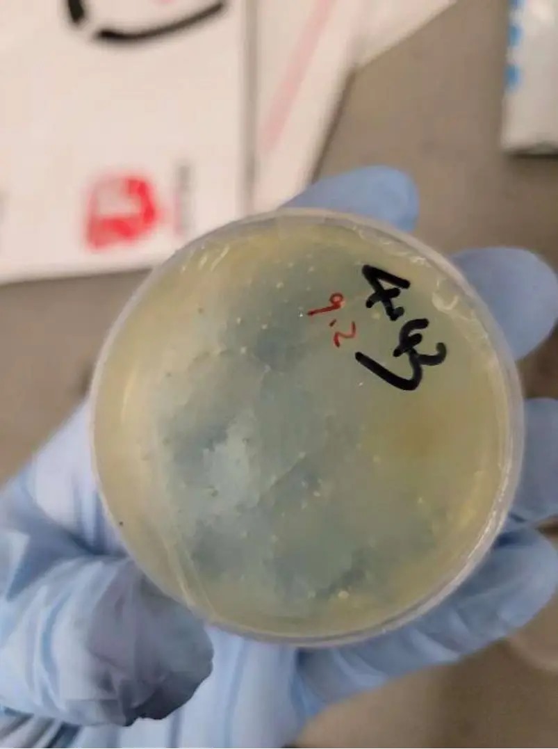 Dalawang Siyentistang Tsino Nakabillanggo pa rin! | Diskurso PH