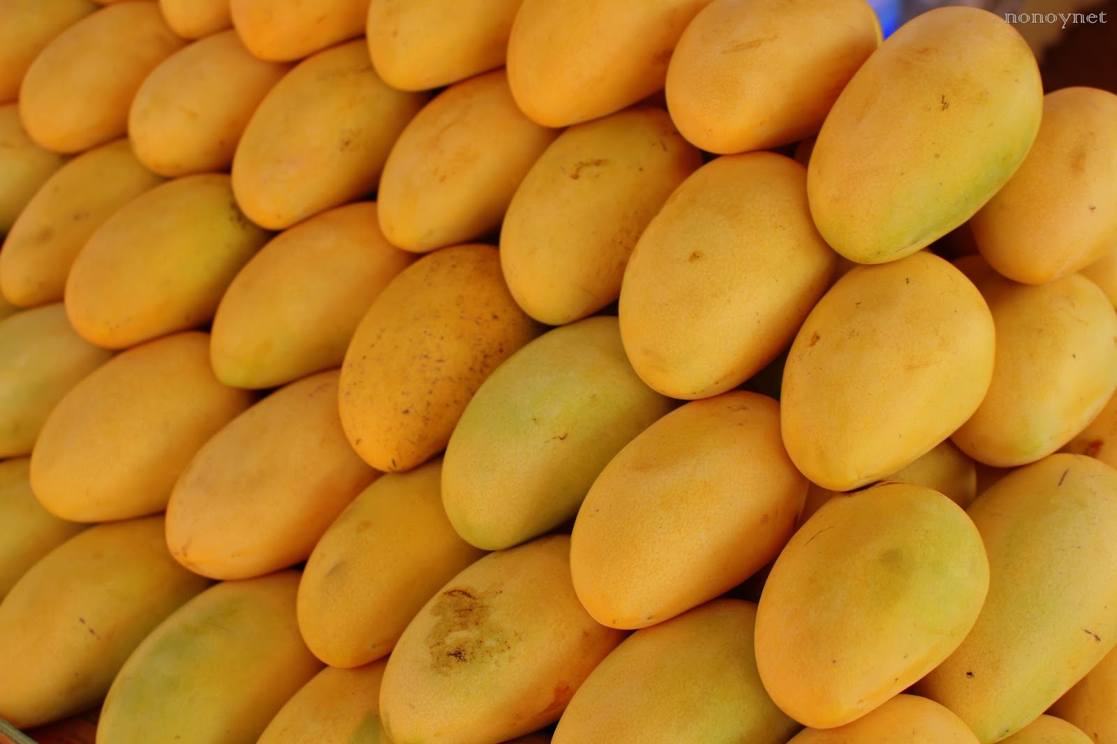 Unang shipment ng Pinoy mangga, dumating na sa Italya | Diskurso PH