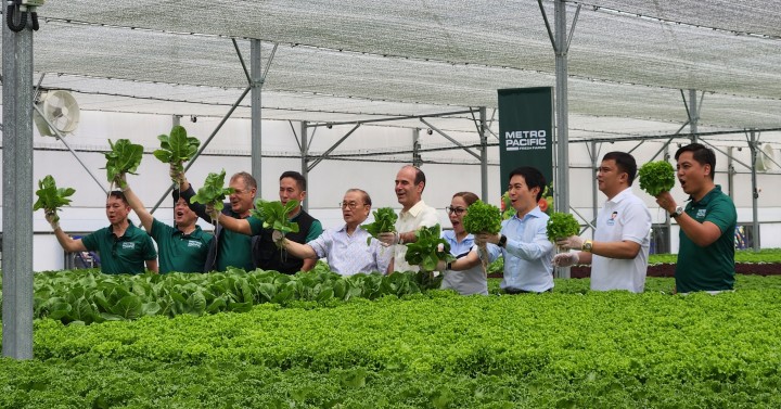 Metro Pacific Fresh Farms, pinalawak ang greenhouse sa Bulacan ...