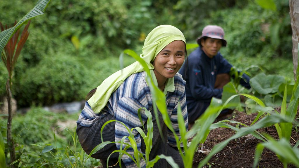 DTI, DepEd bubuo ng bagong henerasyon ng mga agripreneur sa Western ...