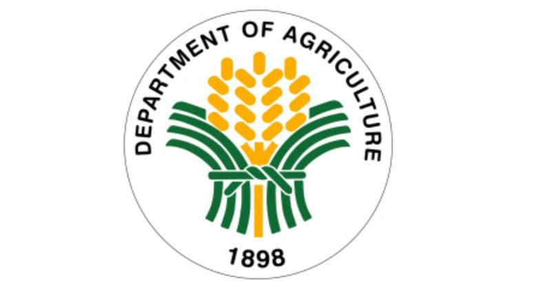 DA, humihiling ng exemption sa Comelec para sa pagbebenta ng NFA Rice ...