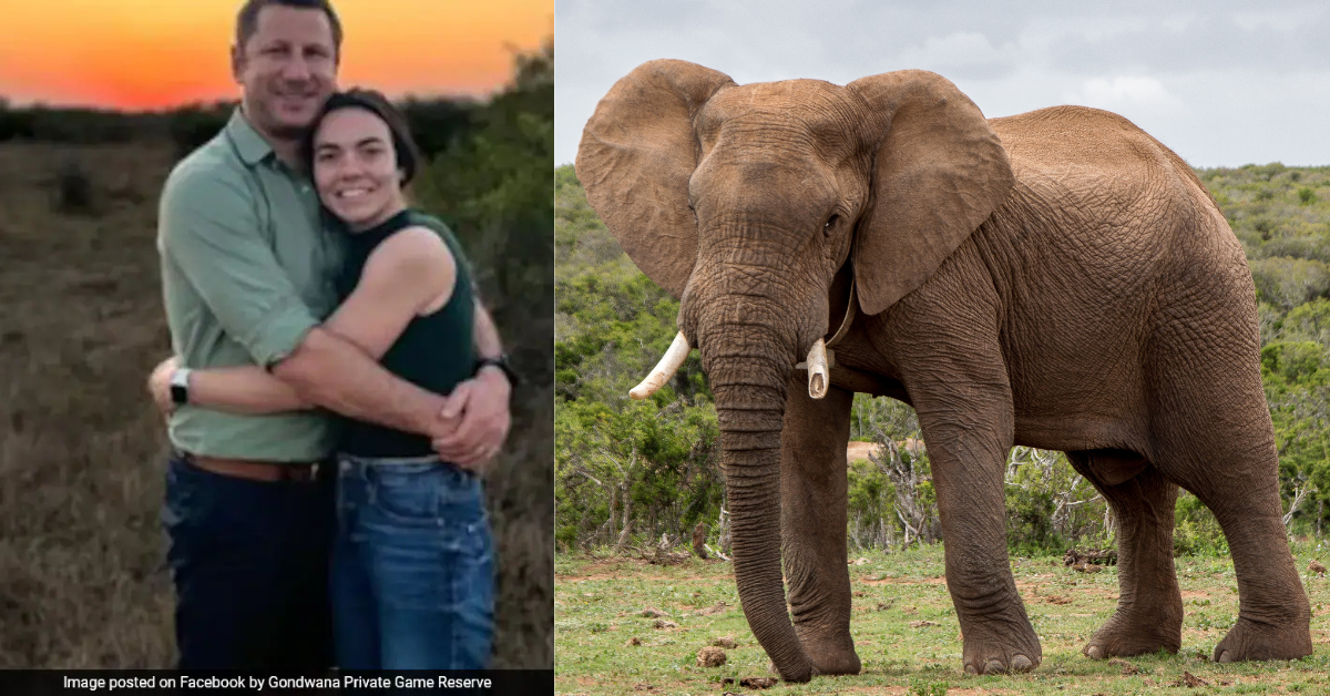 Milyonaryong conservationist, pinatay ng elepanteng inalagaan niya ...