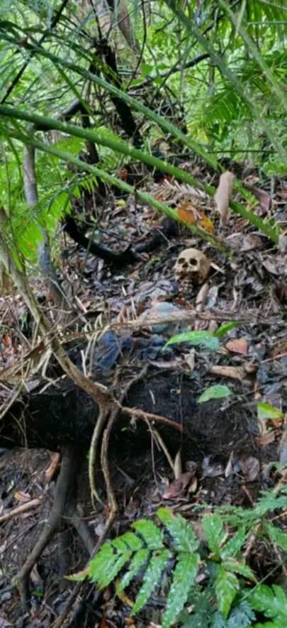 Kalansay ng tao, natagpuan sa Mt. Isarog Natural Park sa Naga | Diskurso PH