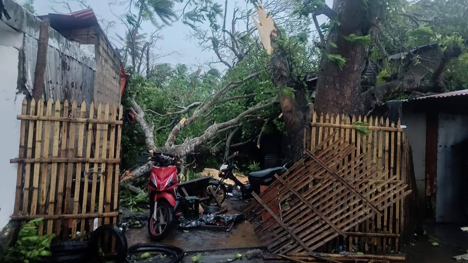 14 patay, libo-libong lumikas sa pananalasa ni ‘Opong’ sa Bicol at ...