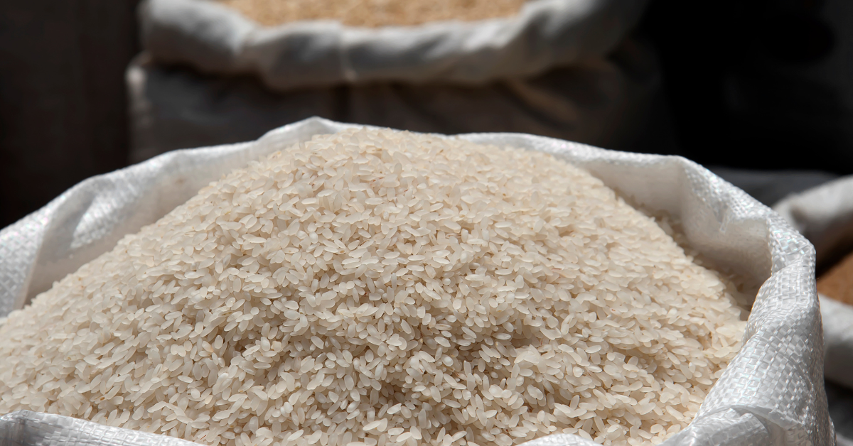 Alokasyon ng bigas sa P29 Program, tinriple para sa vulnerable sectors | Diskurso PH