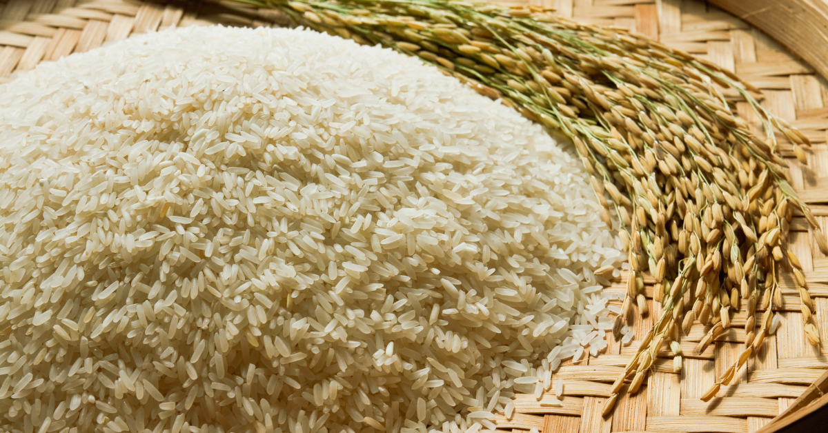 DA, inirekomendang panatilihin ang 15% taripa sa imported na bigas | Diskurso PH