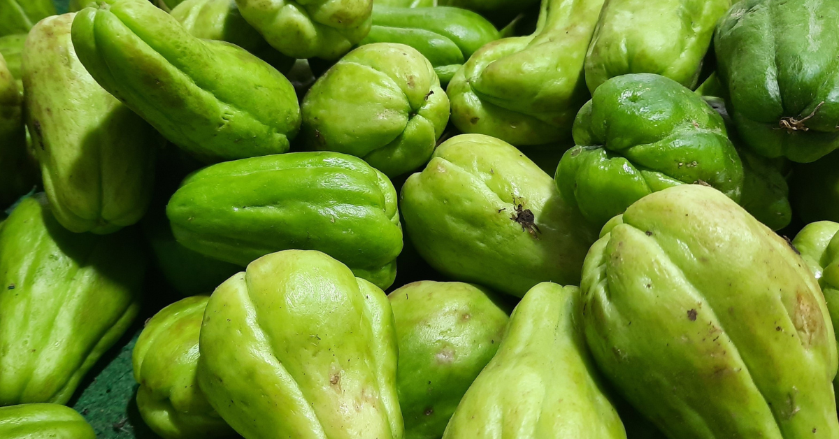 Sayote sa Baguio, may formalin? DA Cordillera, nagbigay ng pahayag ...