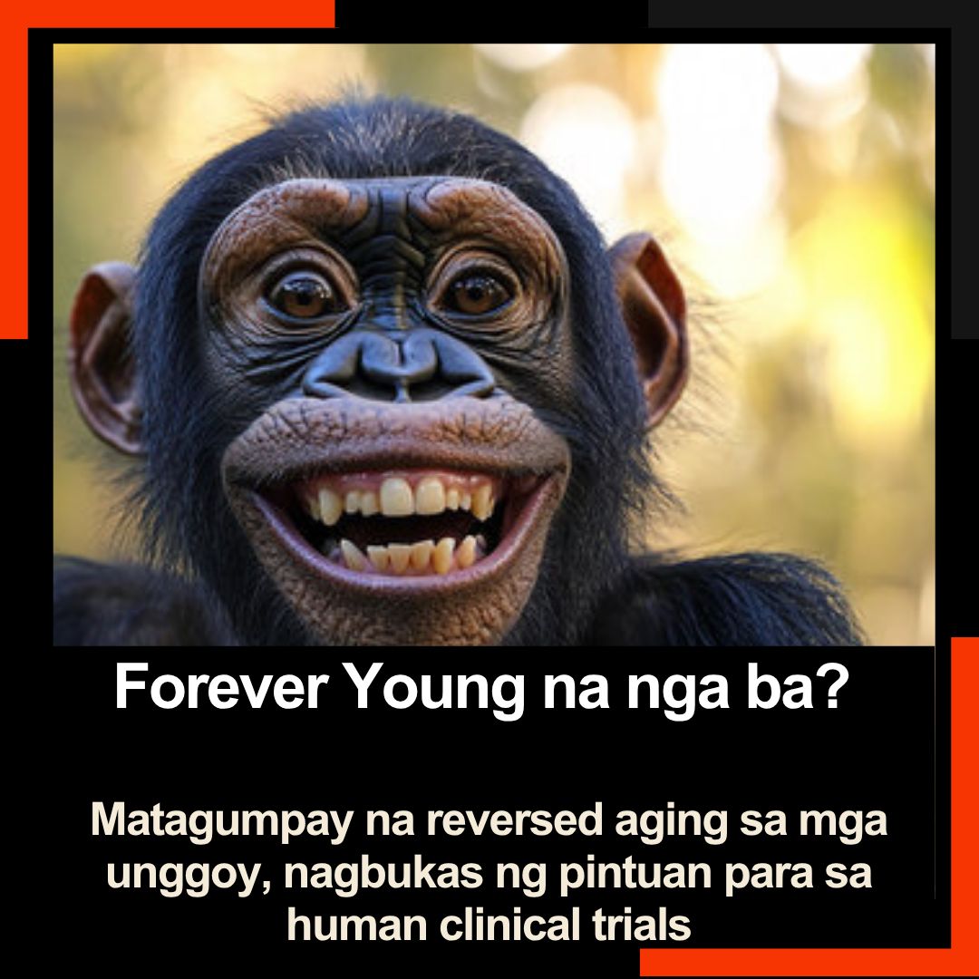 Forever young na nga ba? Reversed aging matagumpay na naisagawa ng mga Siyentipiko sa China ...